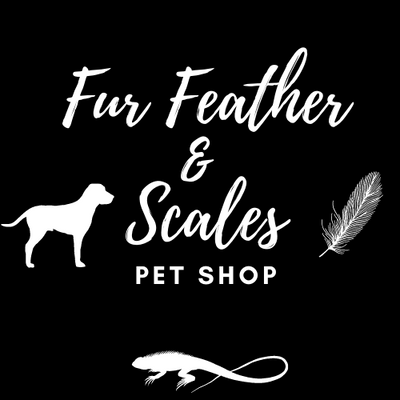 Search – Fur Feather And Scale Pet Shop
